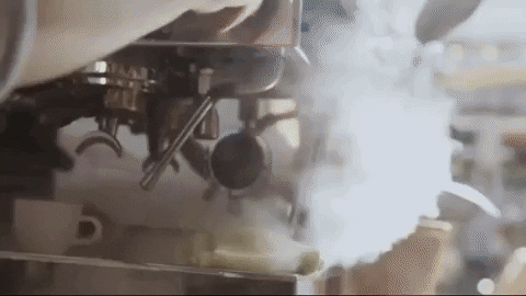 Humans of XS Manchester GIFs - Find & Share on GIPHY