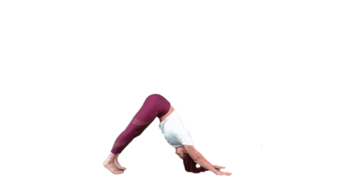 Workout Training Sticker by sisers-stretching for iOS & Android | GIPHY