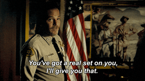 Sheriff Deputy GIF by FOX TV - Find & Share on GIPHY