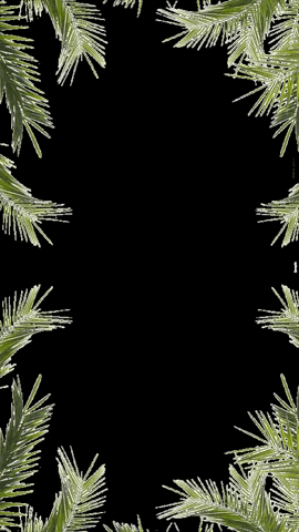 Plant Frame GIF by Maas Natur - Find & Share on GIPHY
