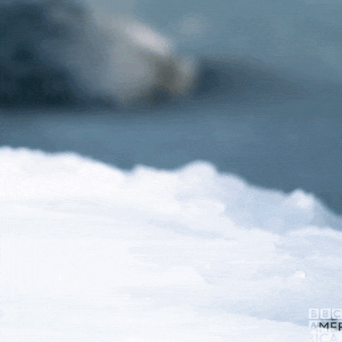 Antarctica GIF by BBC America - Find & Share on GIPHY