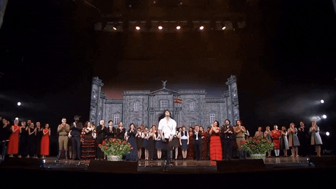 Theater Opera GIF by giancarlomonsalve - Find & Share on GIPHY