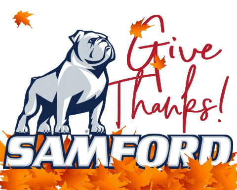 Samford Bulldogs Sticker by Samford University for iOS & Android | GIPHY