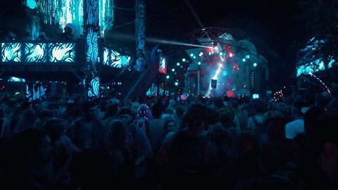 The Village Rave GIF by Shambhala Music Festival - Find & Share on GIPHY