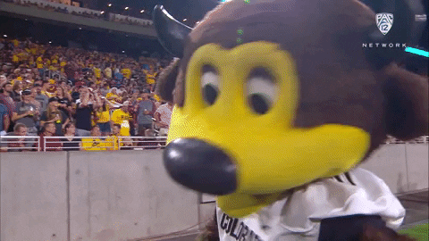 University Of Colorado Boulder Dancing GIF by Pac12Network - Find ...