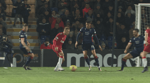 Rangersfc GIF by Rangers Football Club - Find & Share on GIPHY