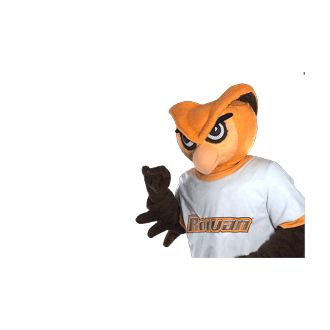 Ncaa Mascot Sticker by Rowan University for iOS & Android | GIPHY