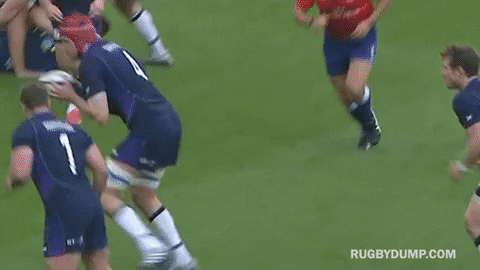 Rugbydump GIF - Find & Share on GIPHY