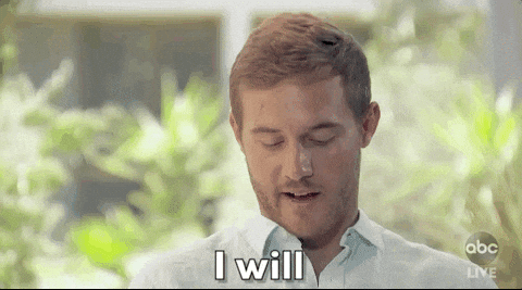 Episode 11 Bachelor Finale GIF by The Bachelor - Find & Share on GIPHY