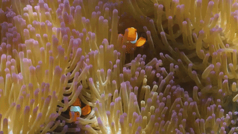 Experience Co GIF - Find & Share on GIPHY