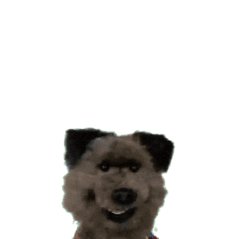 Happy Hacker T Dog Sticker by CBBC for iOS & Android | GIPHY
