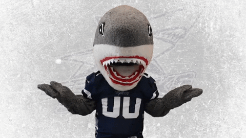 American Football GIF by Steelsharks - Find & Share on GIPHY