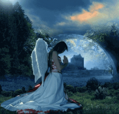 Angel GIF - Find & Share on GIPHY