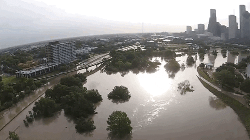 Floods GIFs - Find & Share on GIPHY