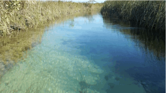 Canal GIF - Find & Share on GIPHY