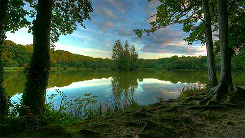 Landscape Lake GIF - Find & Share on GIPHY