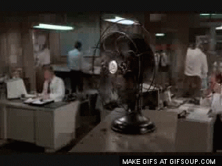 Fan GIF - Find & Share on GIPHY