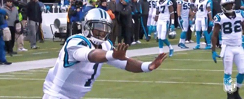 Carolina Panthers Dab GIF by NFL - Find & Share on GIPHY