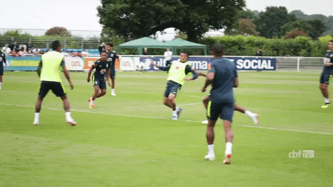 World Cup Selecao Masculina GIF by Confederação Brasileira de Futebol ...