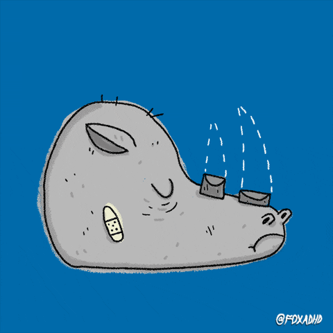 Poaching Animation Domination Gif By gif - Find & Share on GIPHY