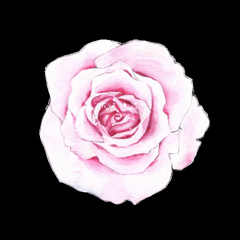 Rose GIF by loverosecosmetics - Find & Share on GIPHY