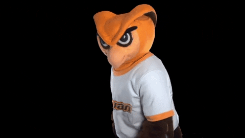 Ncaa Mascot GIF by Rowan University - Find & Share on GIPHY