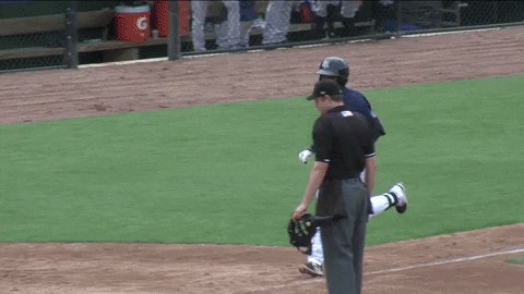 Baseball GIF by Kane County Cougars - Find & Share on GIPHY