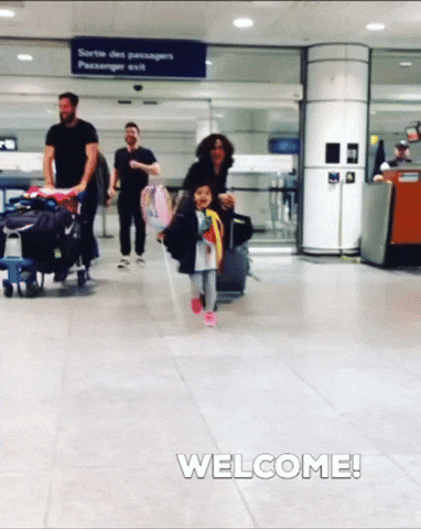 Canada Montreal GIF by Casol - Find & Share on GIPHY