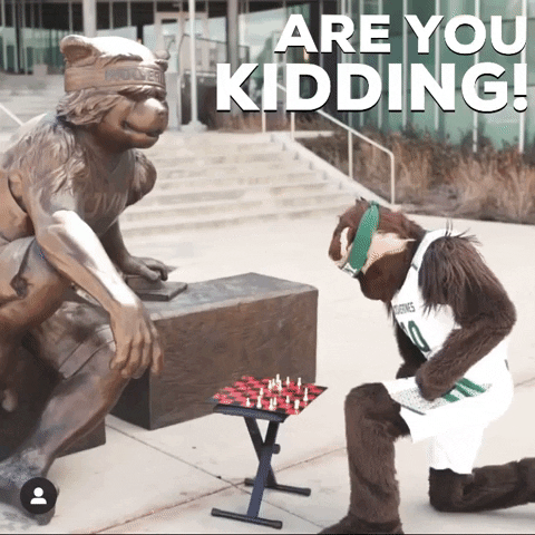 Angry Utah Valley GIF by Utah Valley University - Find & Share on GIPHY