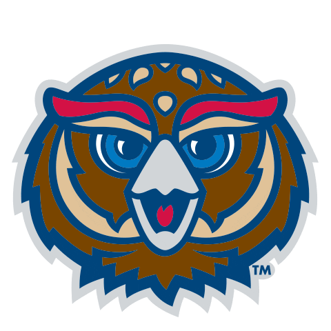 Fau Owls Wink Sticker by Florida Atlantic University for iOS & Android ...
