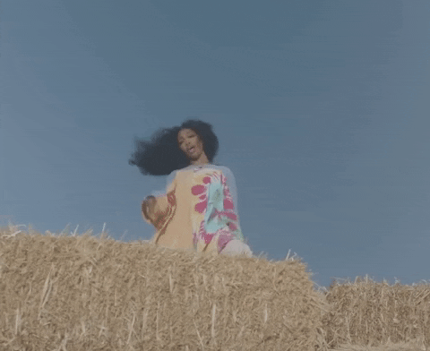 Hay Bale GIF by SZA - Find & Share on GIPHY