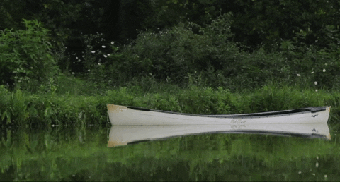Boat Lake GIF by Originals - Find & Share on GIPHY