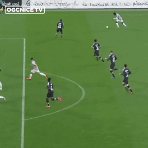 OGC Nice GIF - Find & Share on GIPHY