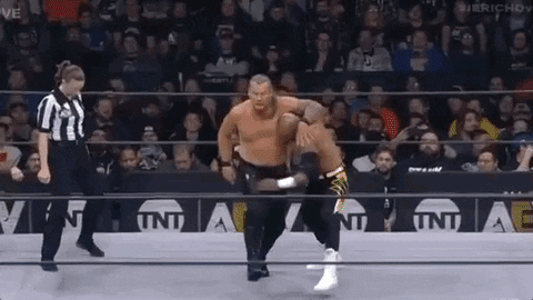 Chris Jericho Wrestlingmatch GIF by All Elite Wrestling on TNT - Find ...