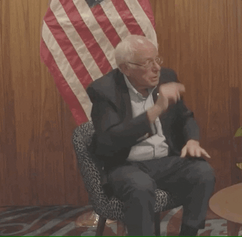Feel The Bern Art GIF by Bernie Sanders - Find & Share on GIPHY