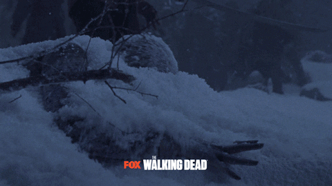 The Walking Dead Winter GIF by FOXtvUK - Find & Share on GIPHY