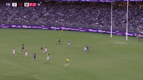 Fremantle Dockers GIF - Find & Share on GIPHY