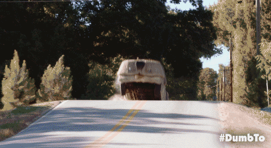 Jim Carrey Harry GIF by Dumb and Dumber To - Find & Share on GIPHY