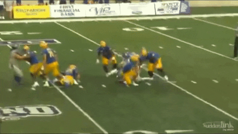 Sack GIF by ACU Football - Find & Share on GIPHY