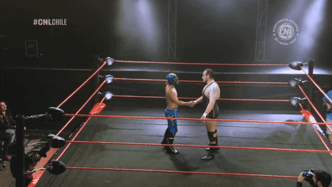 Fight Wrestling GIF by CNL Chile - Find & Share on GIPHY