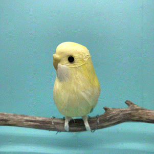 Stop Motion Bird GIF by Julie Smith Schneider - Find & Share on GIPHY