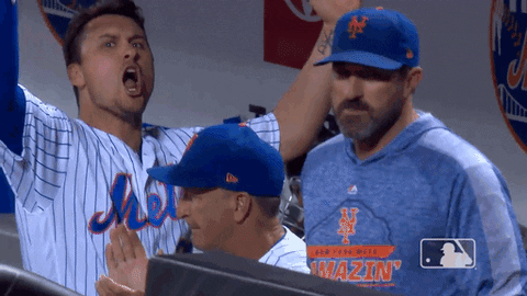 Excited Ny Mets GIF by New York Mets - Find & Share on GIPHY