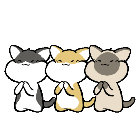 Cat Congratulations Sticker by GORO for iOS & Android | GIPHY