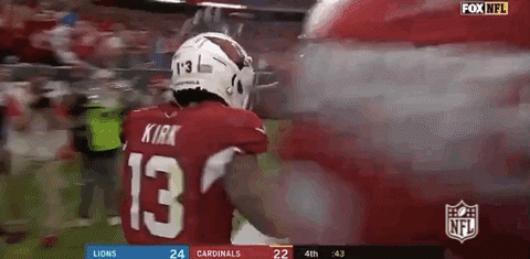 Arizona Cardinals Football GIF by NFL - Find & Share on GIPHY