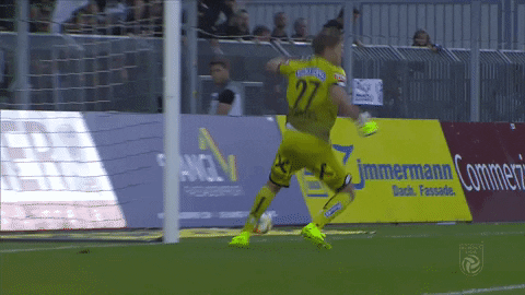 Sieg Sturmgraz GIF by SK Sturm - Find & Share on GIPHY