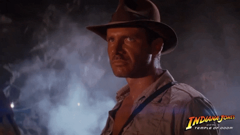 Angry Harrison Ford GIF by Indiana Jones - Find & Share on GIPHY