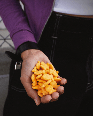 Snacking Limited Edition GIF by Goldfish - Find & Share on GIPHY