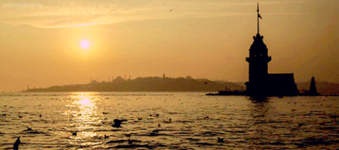 Istanbul GIF - Find & Share on GIPHY