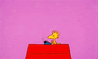 Peanuts GIF - Find & Share on GIPHY