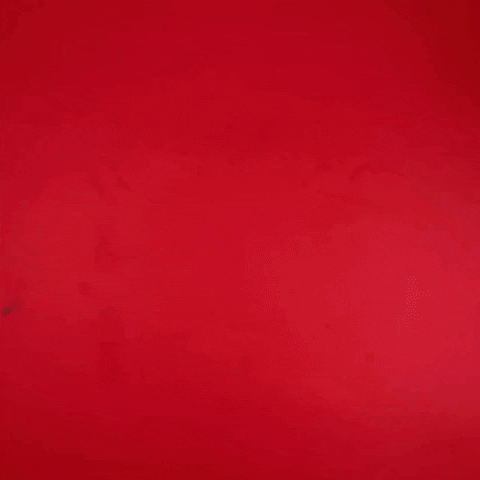 Color Paper GIF by angie amaro - Find & Share on GIPHY